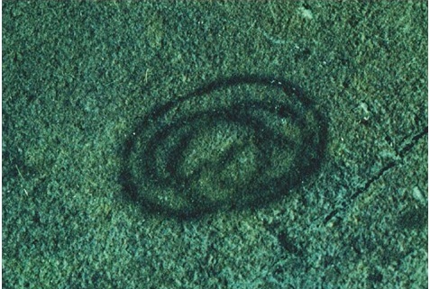 #Hdin.: Era Proterozoik